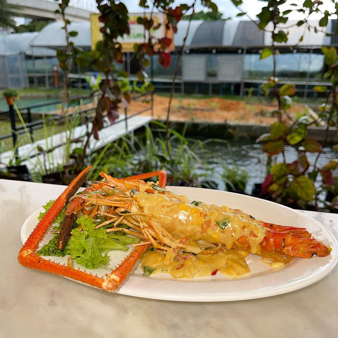 Aktiviti Menarik Di Utama Farm, Pancing Dan Makan Terus Di Situ!