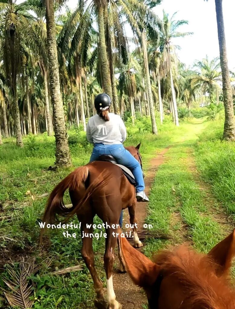 Bercuti Sambil Berkuda Di Riders Resort Kulai, Sesuai Nak Rehatkan Minda