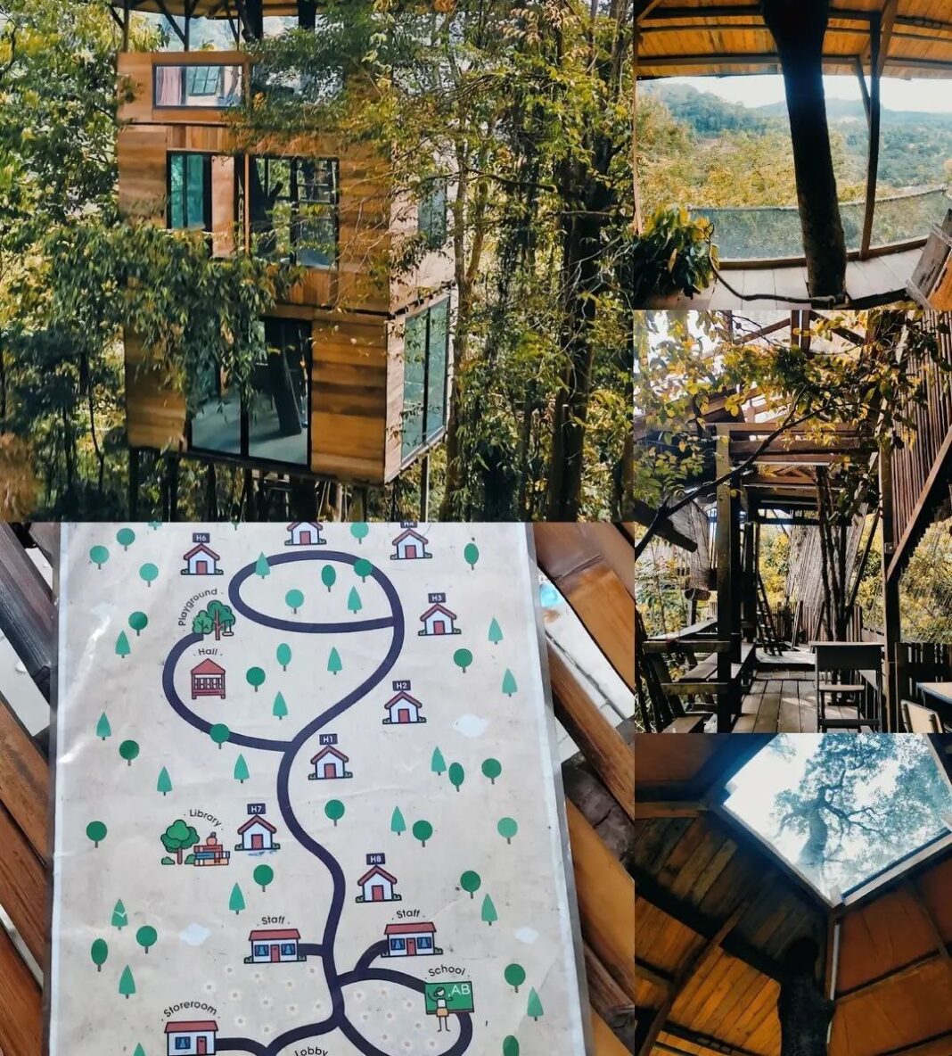 Bermalam Di Rumah Pokok, Rainforest Tree House Tempat Best Nak Hiking