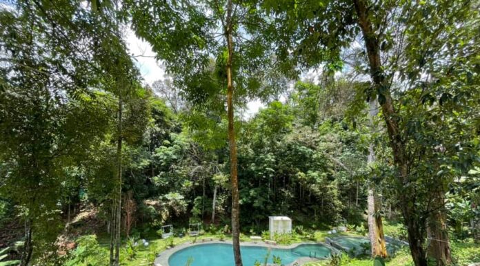 82 Rening di Ulu Rening Batang Kali, Private Villa Berkonsepkan Industrial