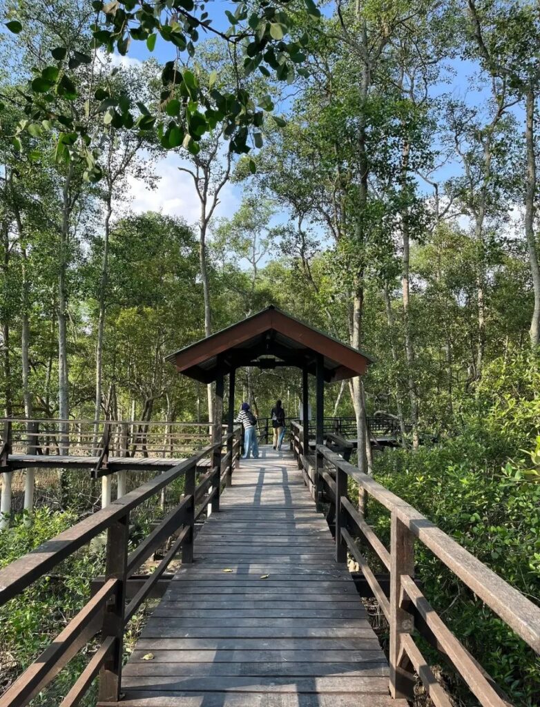 Singgah Taman Tanjung Ketapang, Tempat Healing orang Muar!