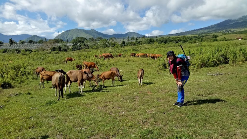 PETUALANGAN KE PUNCAK DEWI ANJANI
